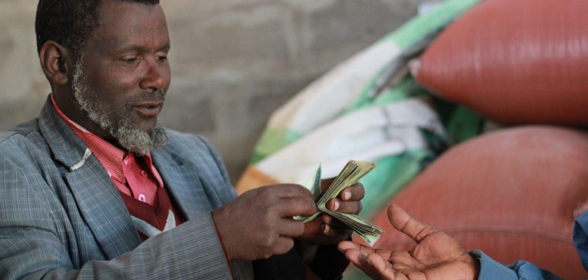 Continued strategic interventions needed in seed value chain ...