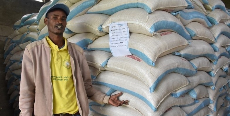 Bringing quality seed to market: the journey to becoming an independent ...