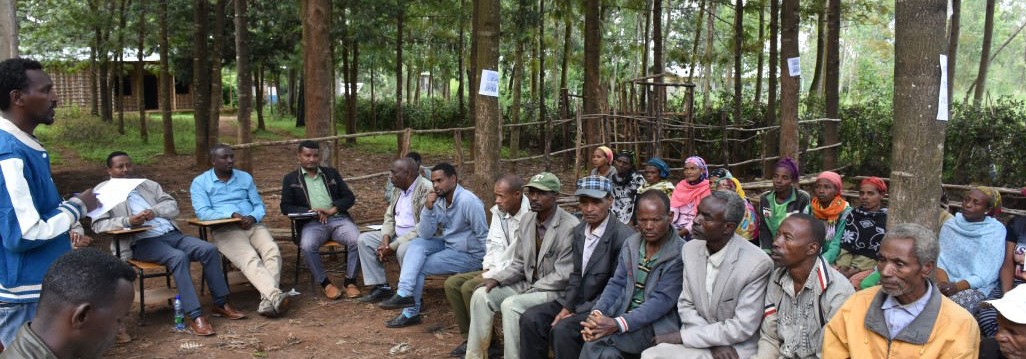 ISSD SNNPR September newsletter – ESP – Ethiopia Seed Partnership