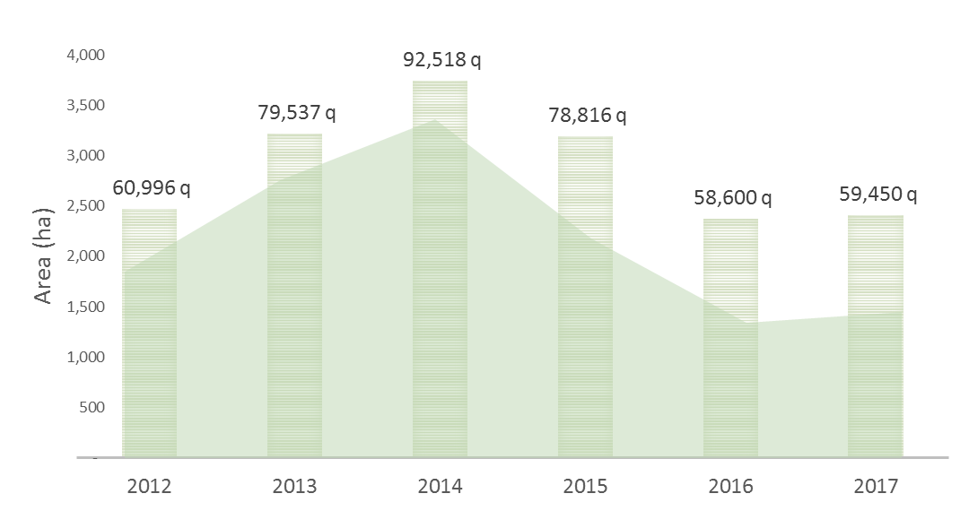 Graduated LSBs: stepping up or hanging in? – ESP – Ethiopia Seed ...