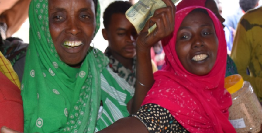 Charting seed sector transformation: From distributed seed to ...