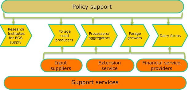 Developing Forage Value Chain: A potential strategic option to address ...