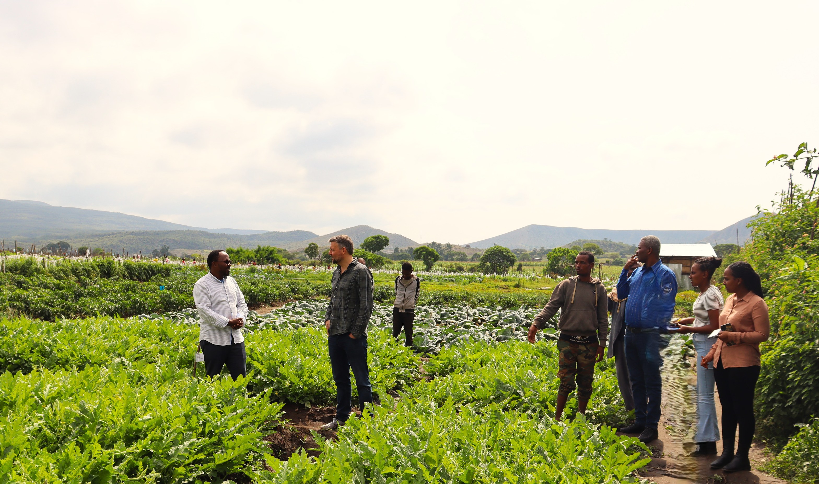 Ethiopian Seed Partnership – htttps://www.esp-seed.org