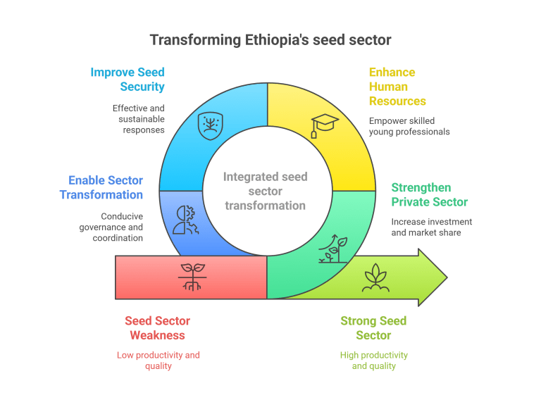 Theory of Change