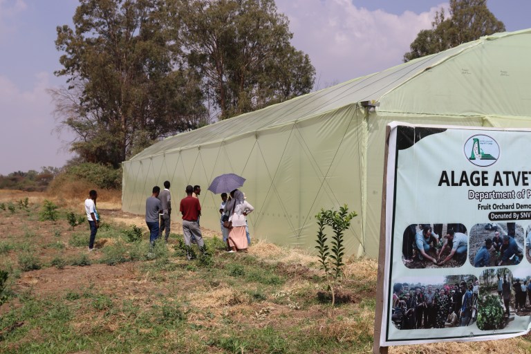 Ethiopian Seed Partnership and Alage Agricultural TVET join forces to ...